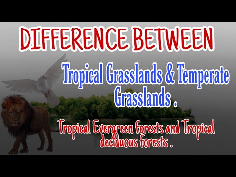 Difference between Tropical & Temperate Grasslands, Tropical Evergreen & Deciduous forest , Dj nath