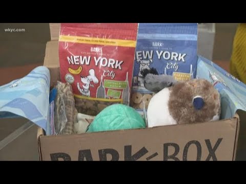 Is BarkBox worth it for your dog? We put their prices to the test
