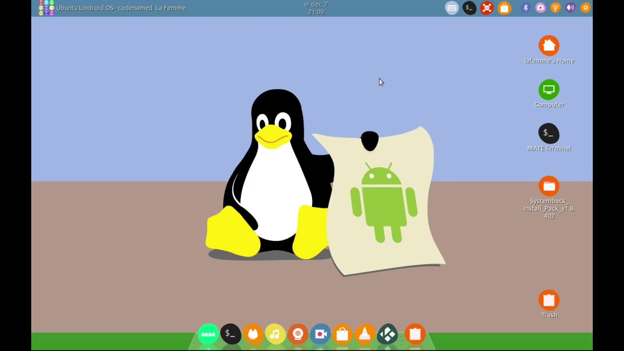 This is How To Install Systemback on Ubuntu 18.04.1 /32Bit & Linux mint 19 /32bit