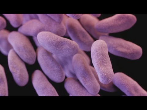 Antibiotic nightmare
