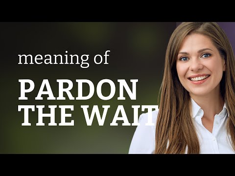 Understanding "Pardon the Wait" in English