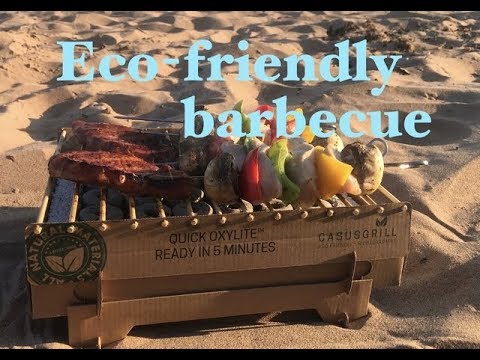Ophelia Talks about A Barbecue on the Beach
