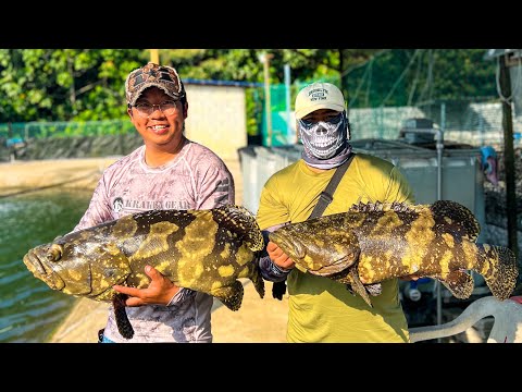 Malaysia Fishing Pond Frenzy! | K&R & Damai Fishing Village | 2024