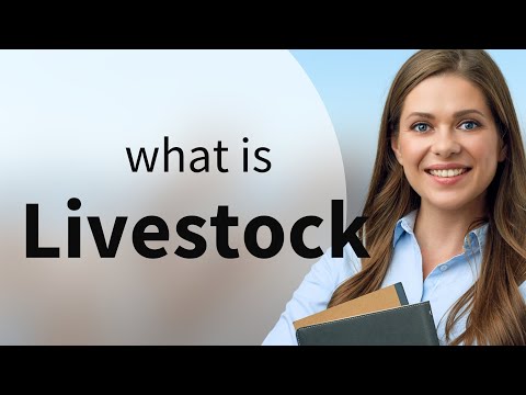 Livestock • what is LIVESTOCK definition