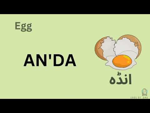 FOOD ITEMS NAMES IN URDU | Khanay ki chizain | خوراک اشیاء | URDU BY AMA 🍽️🗣️