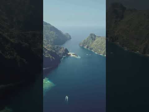 Sea vs Ocean: What's the Difference?
