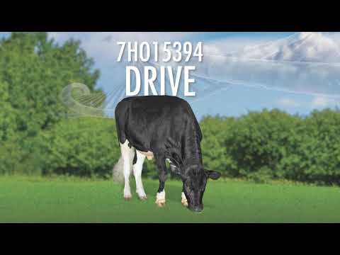 NxGEN | 7HO15394 DRIVE