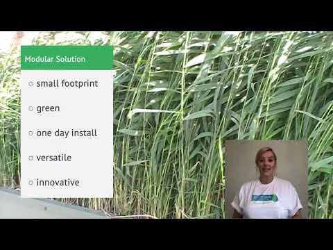 NEW Modular reed bed technology