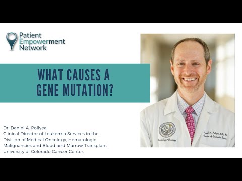 What Causes a Gene Mutation?