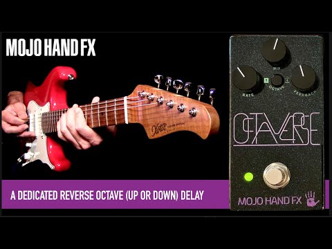 NEW!!! Mojo Hand FX Octaverse | Reverb