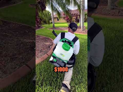 Mosquito Mister - $1000 vs $49 #pestcontrol #DIY