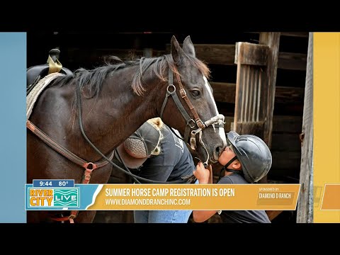 Diamond D's Summer Horse Camp is back