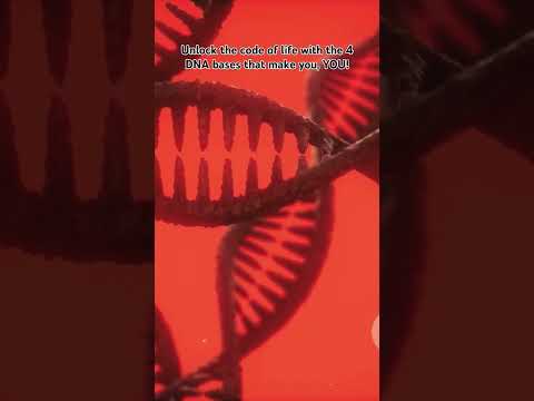 Unlock the code of life with the 4 DNA bases that make you, YOU!