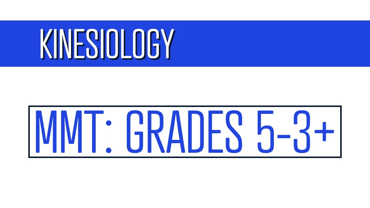 Manual Muscle Testing Grades 5 through 3+