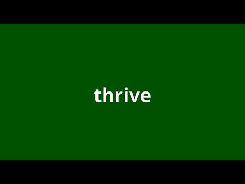 what is the meaning of thrive