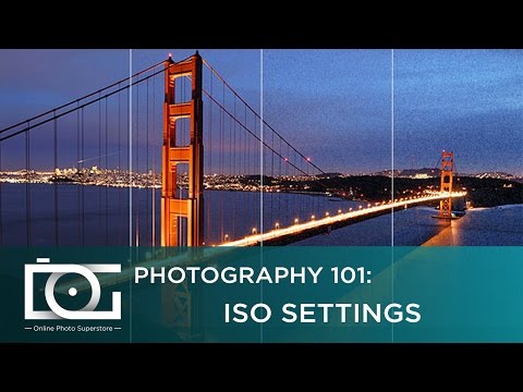HOW DOES ISO WORK | TUTORIAL | What is ISO and How Does it Work? | Photography 101