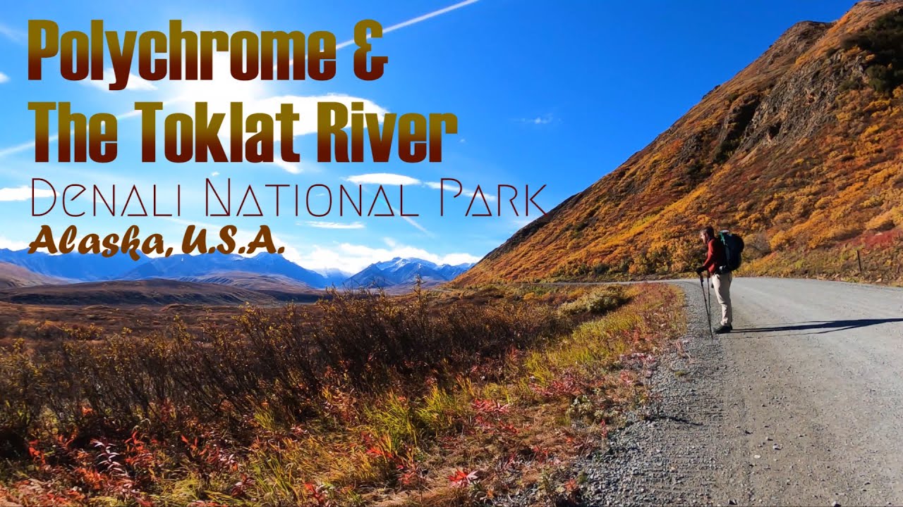 Denali National Park 4K (Sept. 2021): Hiking Polychrome Pass, The Toklat River, Igloo Creek (short)