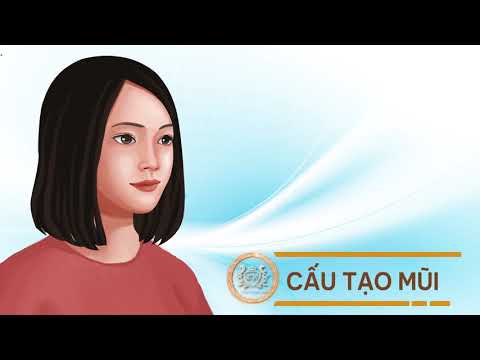 Thảo Ngọc Spa - Nâng mũi cấu trúc Sline - MP Corporation