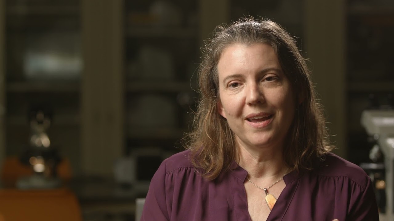 Spider Vision: Decoding Color