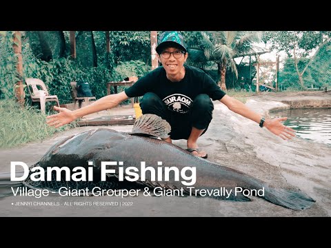DAMAI FISHING VILLAGE - GIANT GROUPER & GT POND - TAMAN PERLING • JOHOR | JY