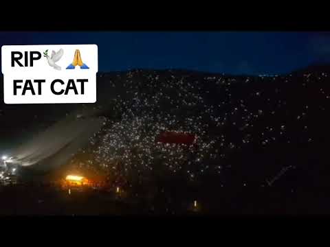 Chinese netizens mourn the death of gamer ‘Fat Cat
