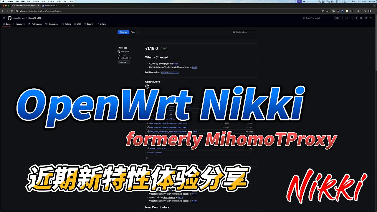 OpenWrt Nikki (MihomoTProxy) 近期新特性体验分享