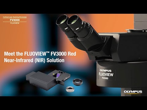 Dr. Rebecca Bonfig Introduces the FV3000 Red Near-Infrared (NIR) Solution