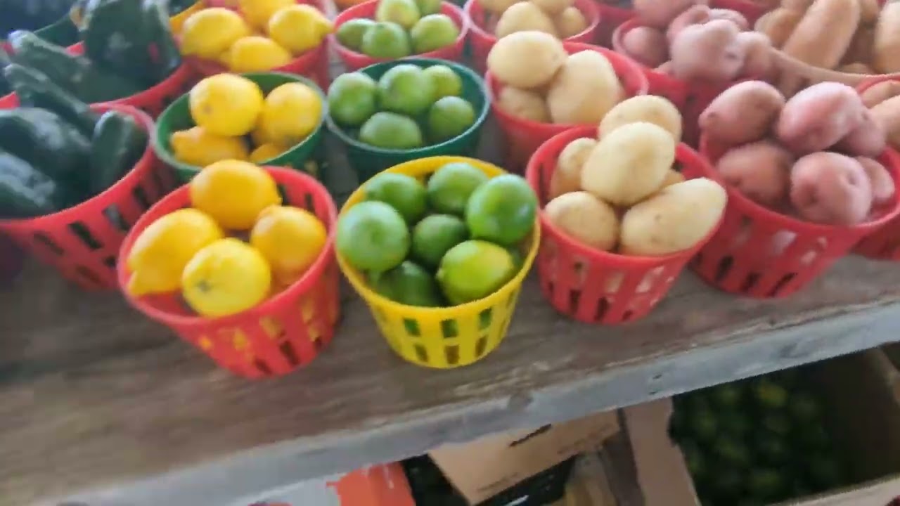 buying super cheap fresh produce, fruits, and vegetables at the farmer's market