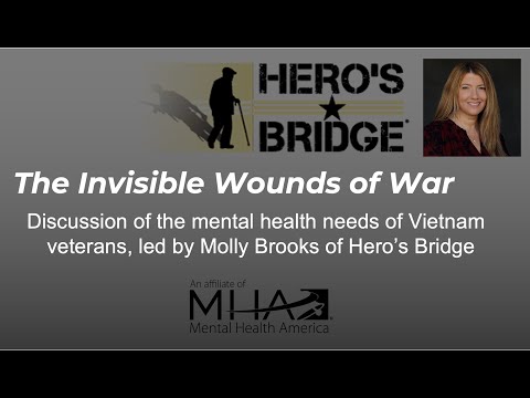 The Invisible Wounds of War: Mental Health Concerns of Vietnam Veterans with Hero's Bridge