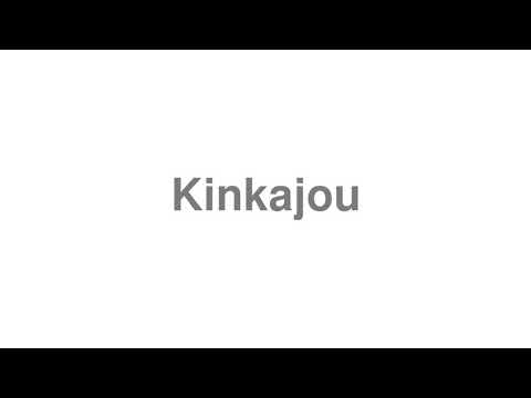 How to Pronounce "Kinkajou"