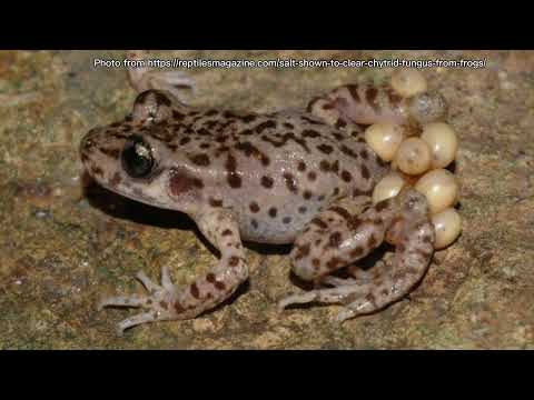 HABITAT DEGRADATION (GENERAL ECOLOGY)