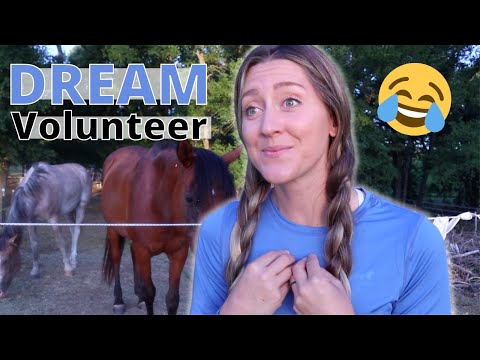 Barn Manager's Dream Volunteer 😂 | FUNNY horse videos