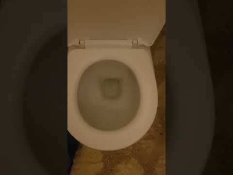 2 older Helvex toilets and a YT first baby cato toilet 8/17/2023