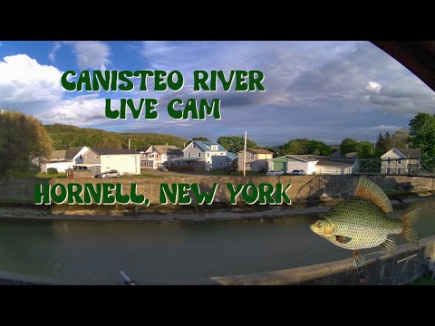 Canisteo River Live Cam 24/7 - Hornell, New York - 6-22-2025