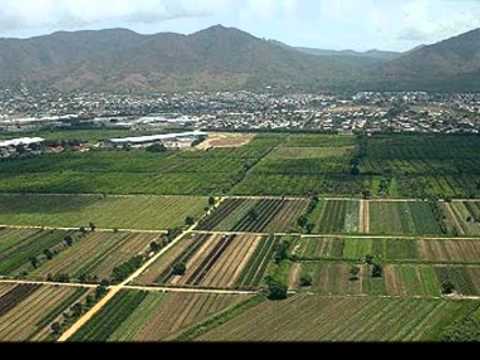 Lord Shorty-Plant De Land