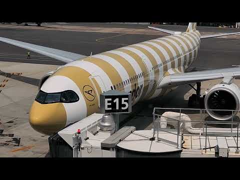 Condor Flugdienst Trip Report Premium Economy Class BOS to FRA