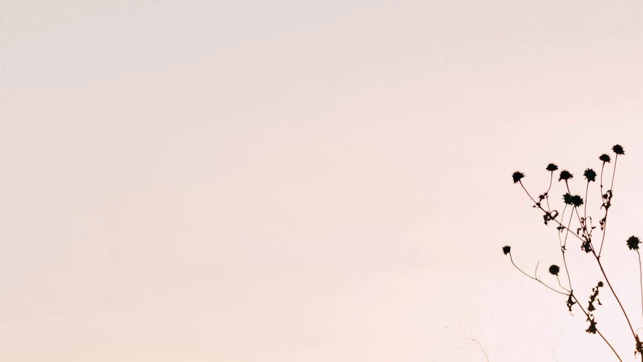 How to create free website on Github | Arafat Rahman