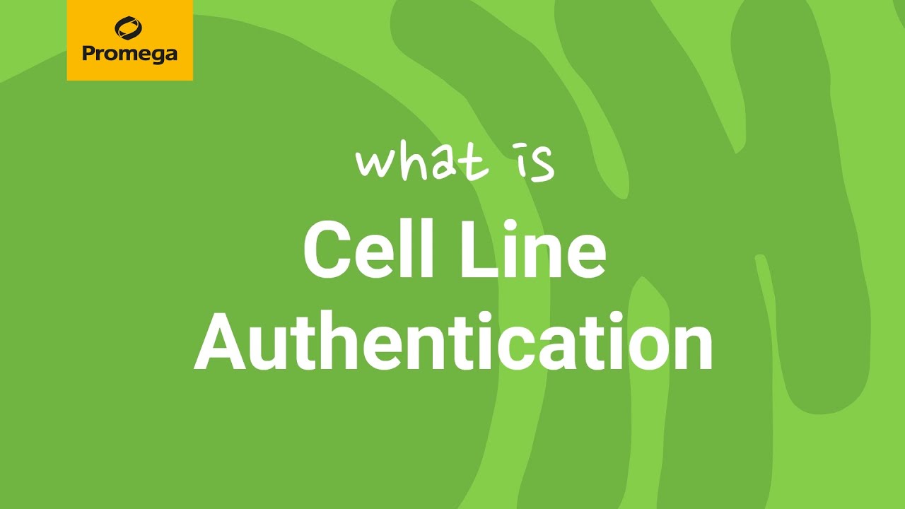 What is Cell Line Authentication?