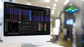 TWS Option Tools | Trading Course | Traders' Academy | IBKR Campus