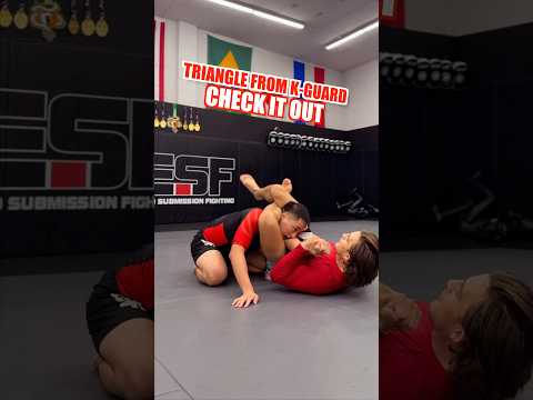 Triangle Choke Jiu Jitsu Instructionals – Entries, Control, and ...