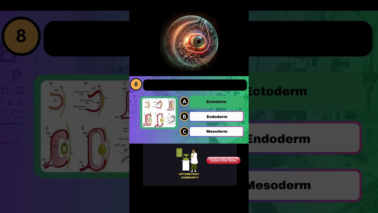 eye development optometry mcqs| optometry mcqs #shorts