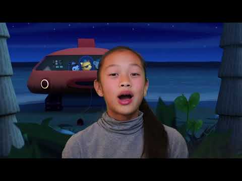 Octonauts: Season 1 – Selfless and Brave Human-Like Animals That Teach ...