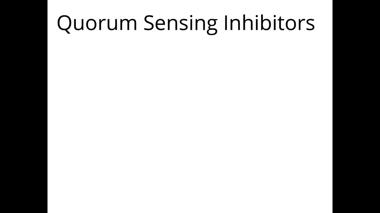 CHM4930 Quorum Sensing Inhibitors