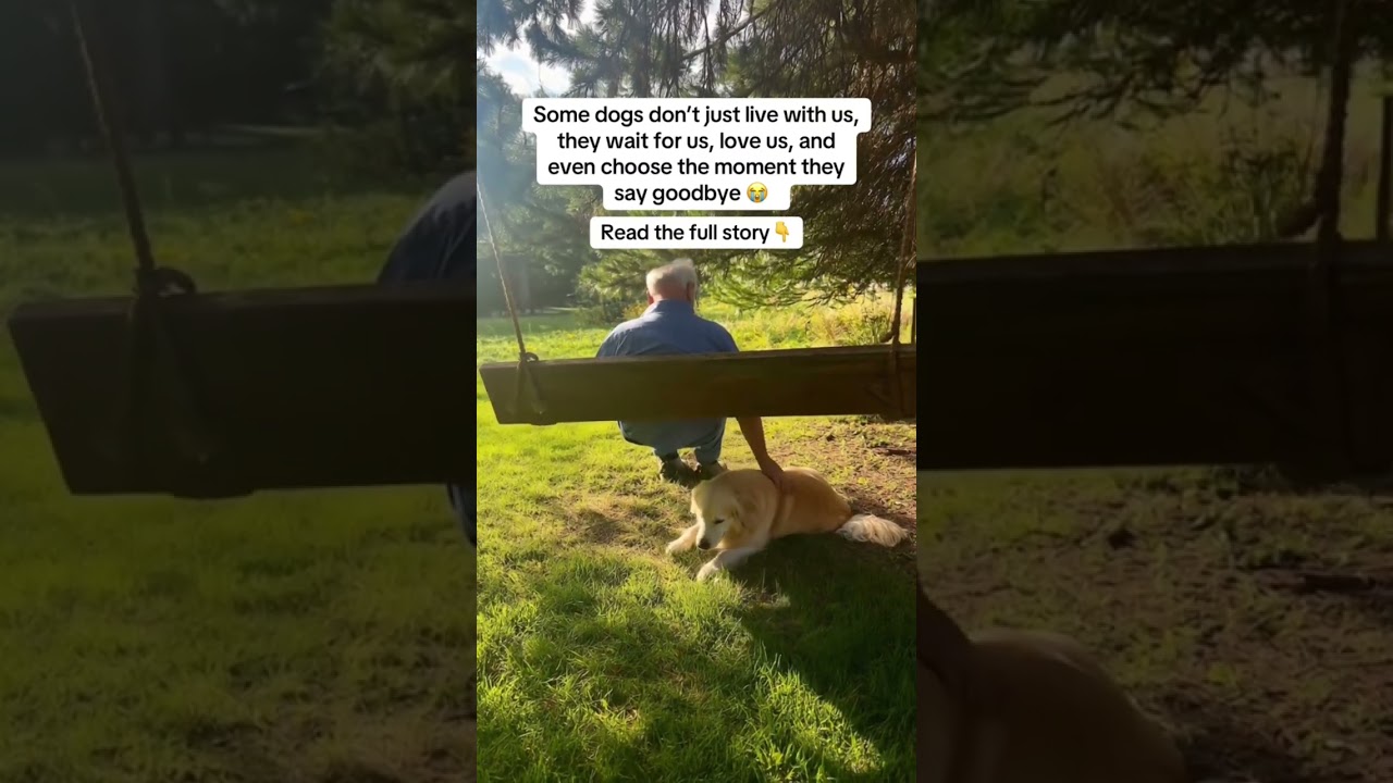 full story on Instagram link through the linktree 📥