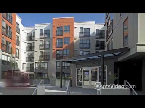 Joule Apartments in Seattle, WA - ForRent.com
