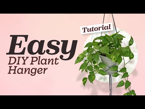 Easy DIY Macrame Plant Hanger - Quick & Simple Wall Decor!