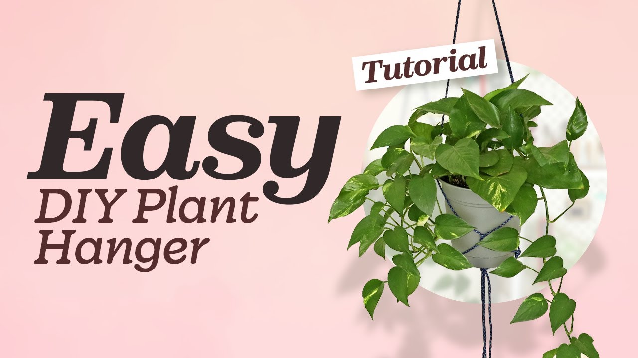 Easy DIY Macrame Plant Hanger - Quick & Simple Wall Decor!