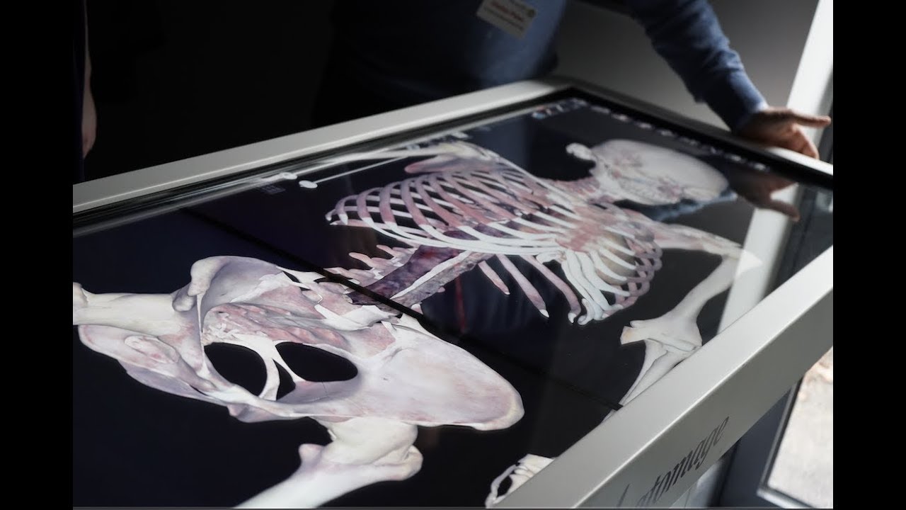 Digital virtual dissection table from Anatomage at University Centre Reaseheath