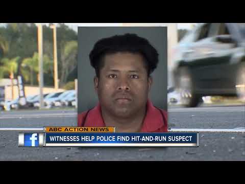 Suspect in deadly Dade City hit-and-run arrested after being following by witnesses