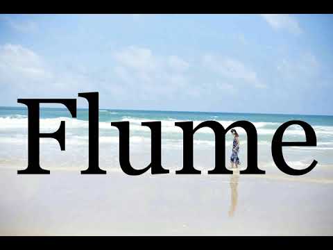 How To Pronounce Flume🌈🌈🌈🌈🌈🌈Pronunciation Of Flume